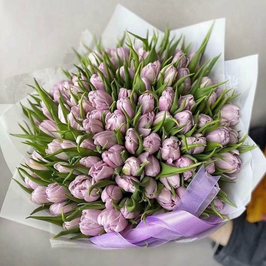 Букет из фиолетовых тюльпанов 51 шт, красивый букет цветов, шикарный, премиум цветы, премиум букет