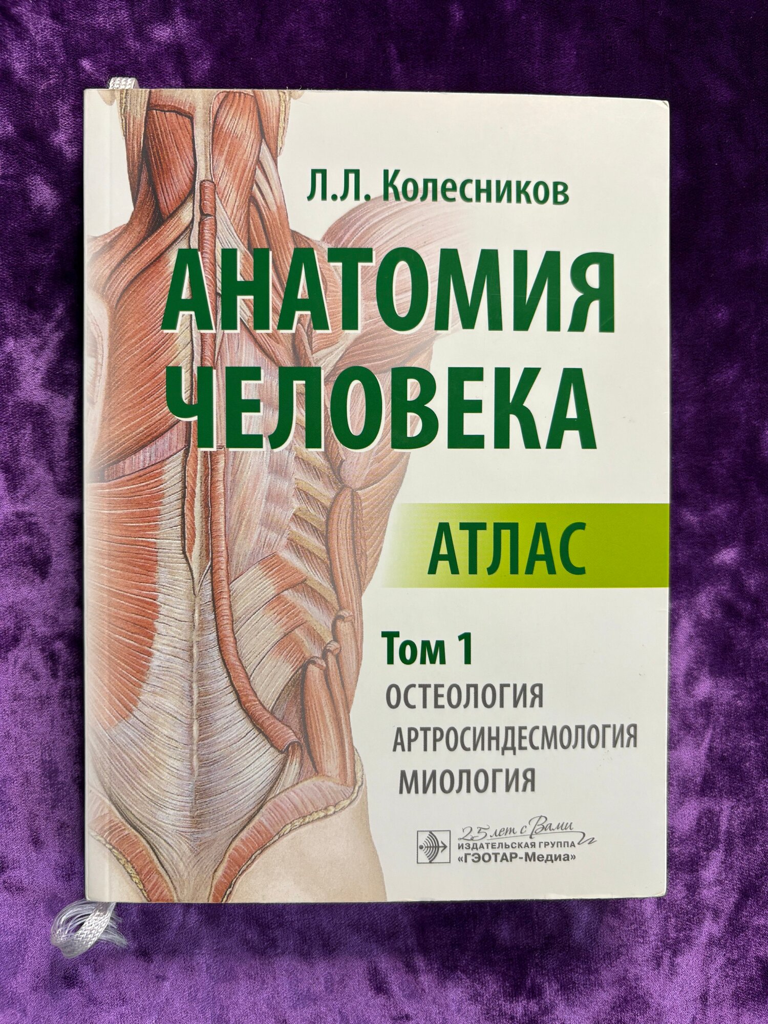 Анатомия человека. Атлас. Том 1. Остеология, артросиндесмология, миология