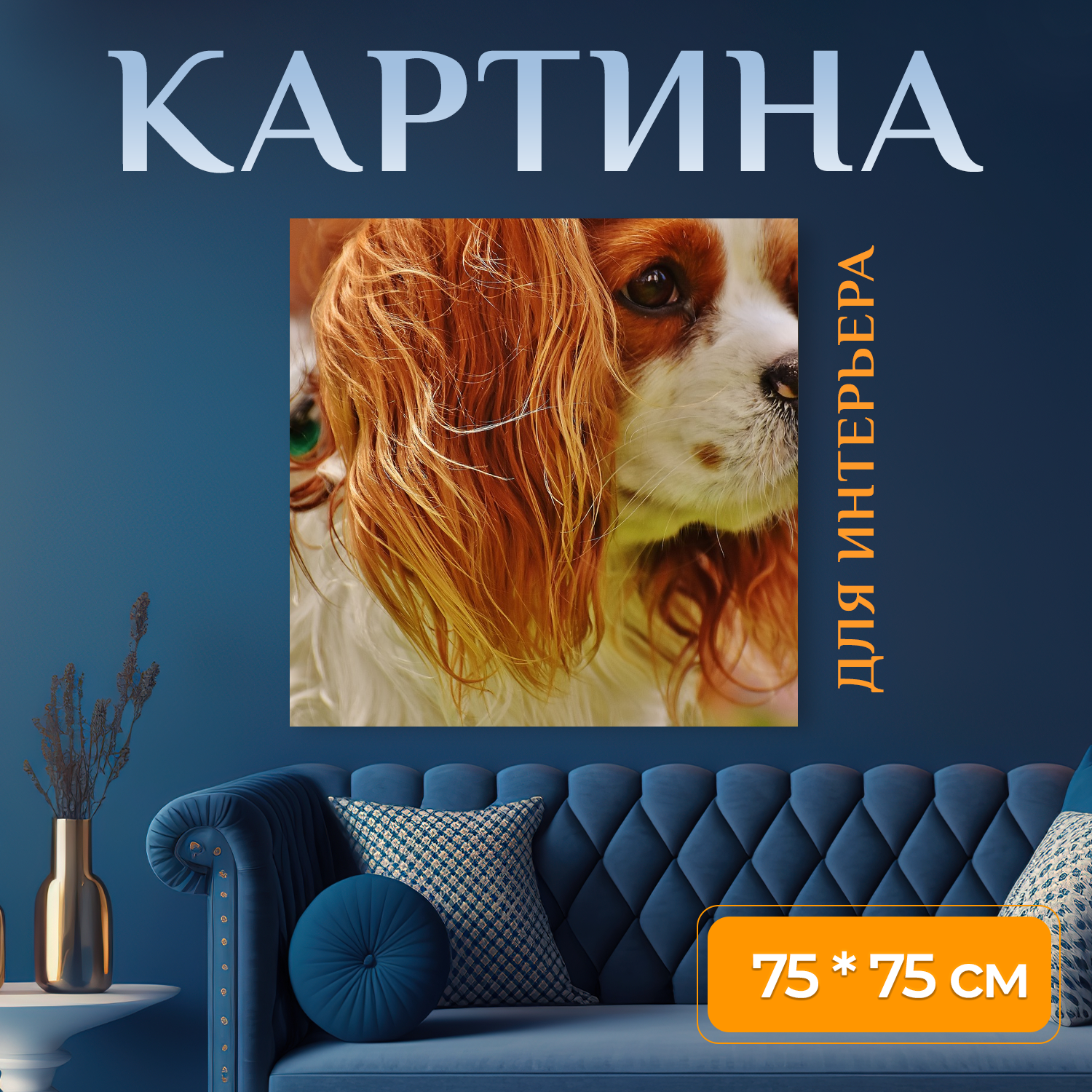 Картина на холсте "Собака, кавалер кинг чарльз спаниель, веселая" на подрамнике 75х75 см. для интерьера
