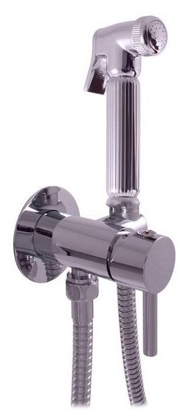 Гигиенический душ со смесителем Rav Slezak Seina SE843/1, хром