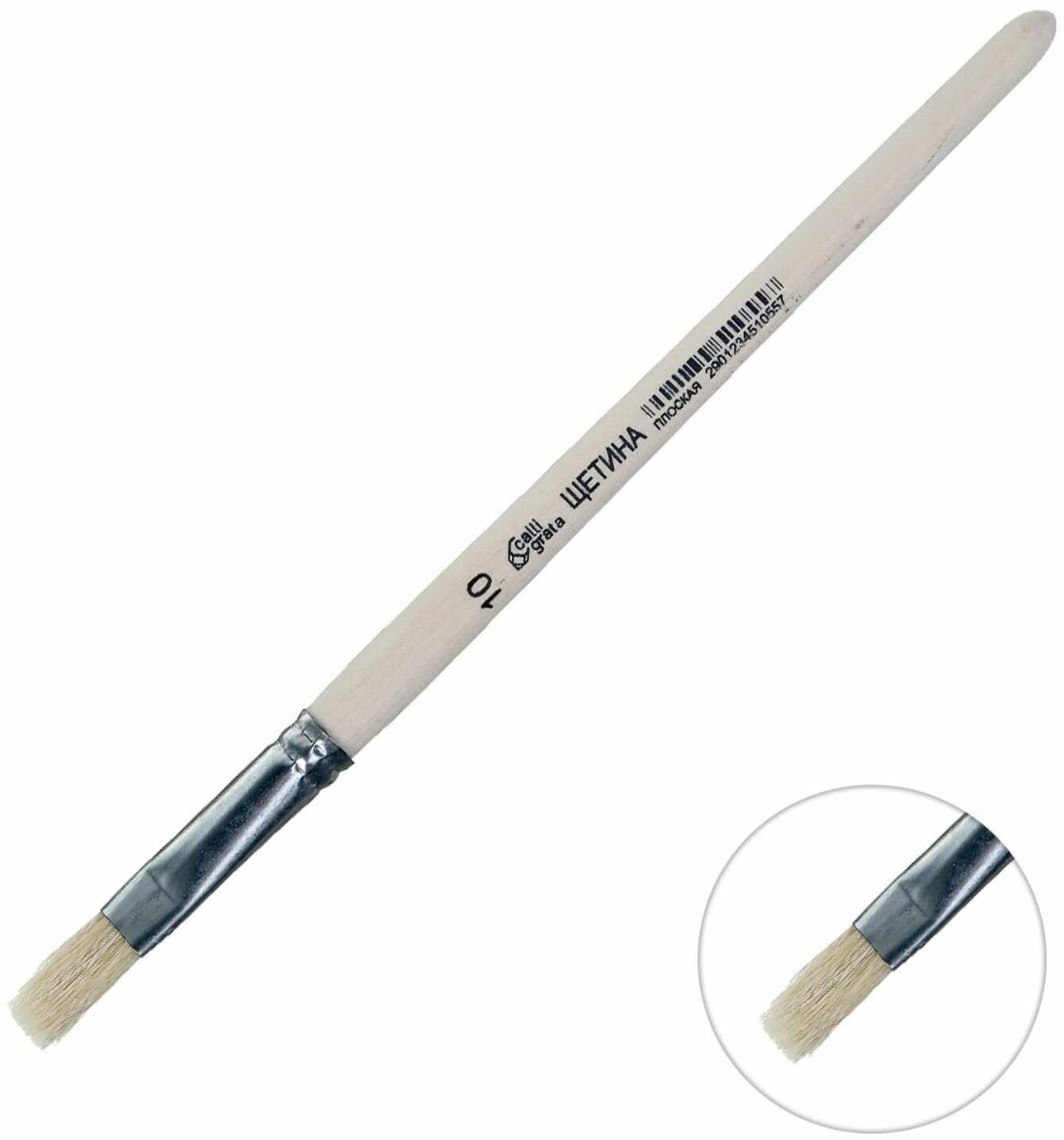 Кисть Щетина плоская №10 для рисования красками, кисточка из натурального ворса с деревянной ручкой, канцелярия для школы, творчества, ширина обоймы 10 мм, длина волоса 18 мм