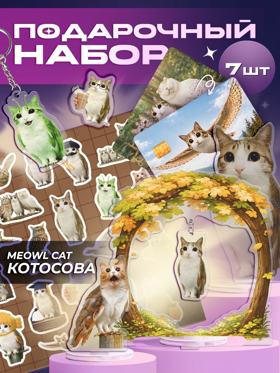 Подарочный набор Meowl котосова Меовл мем