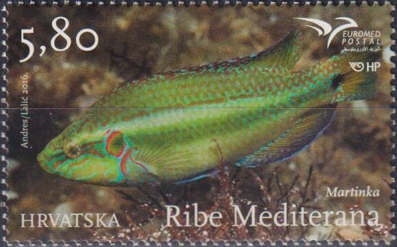 Почтовые марки Хорватия 2016г. "Рыбы Средиземного моря" Рыбы MNH