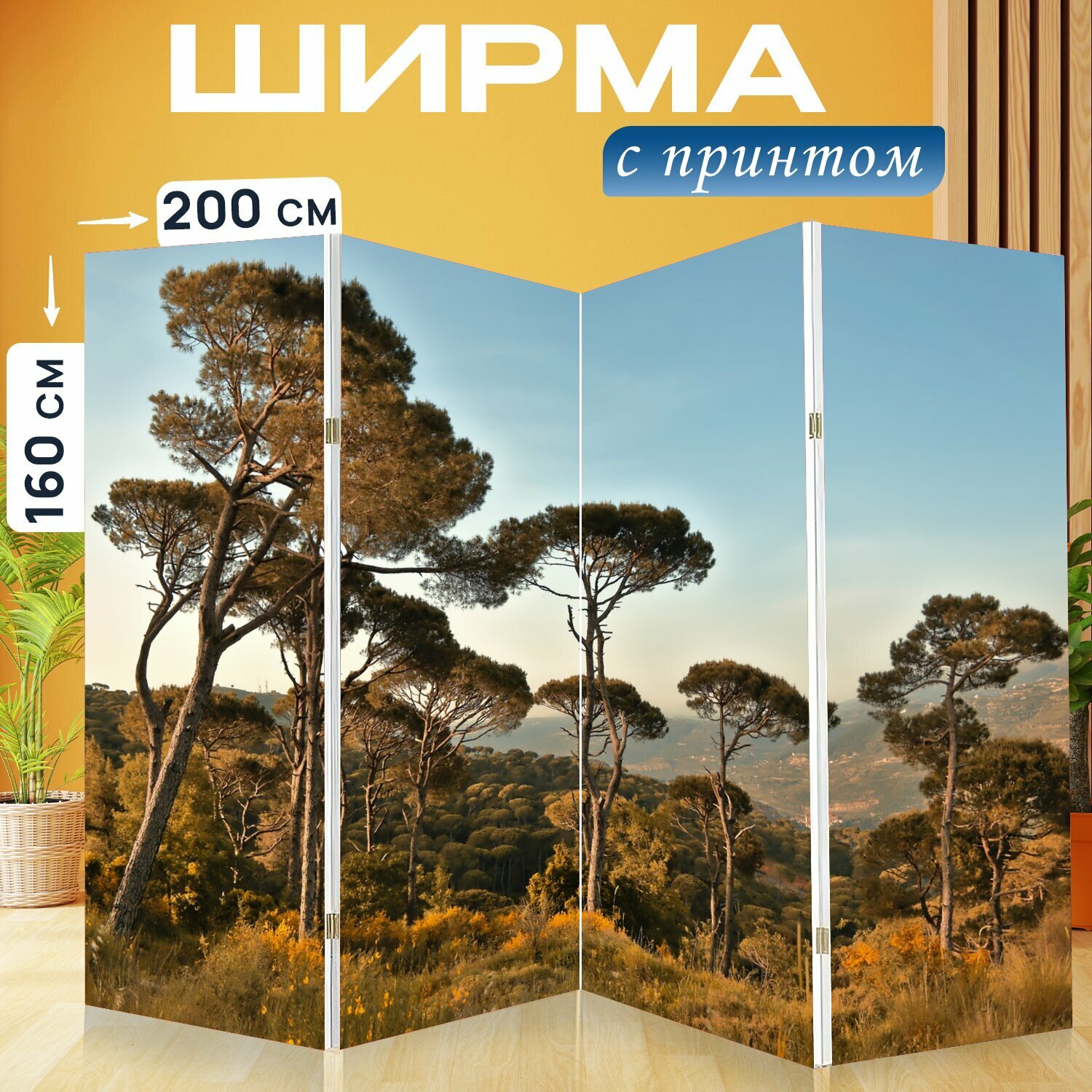 Ширма "Сосны, сосновый лес, хвойные породы" раскладная перегородка для зонирования с принтом на холсте