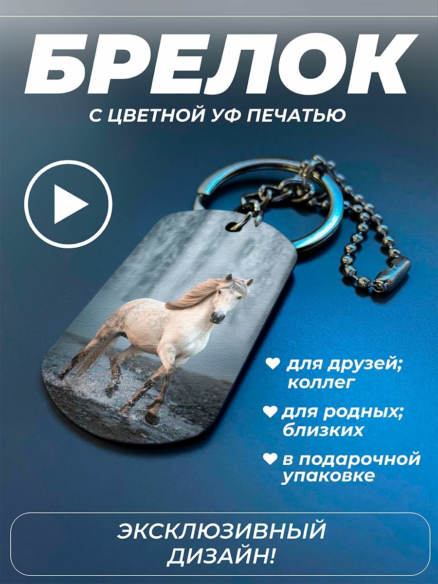 Брелок PNP
