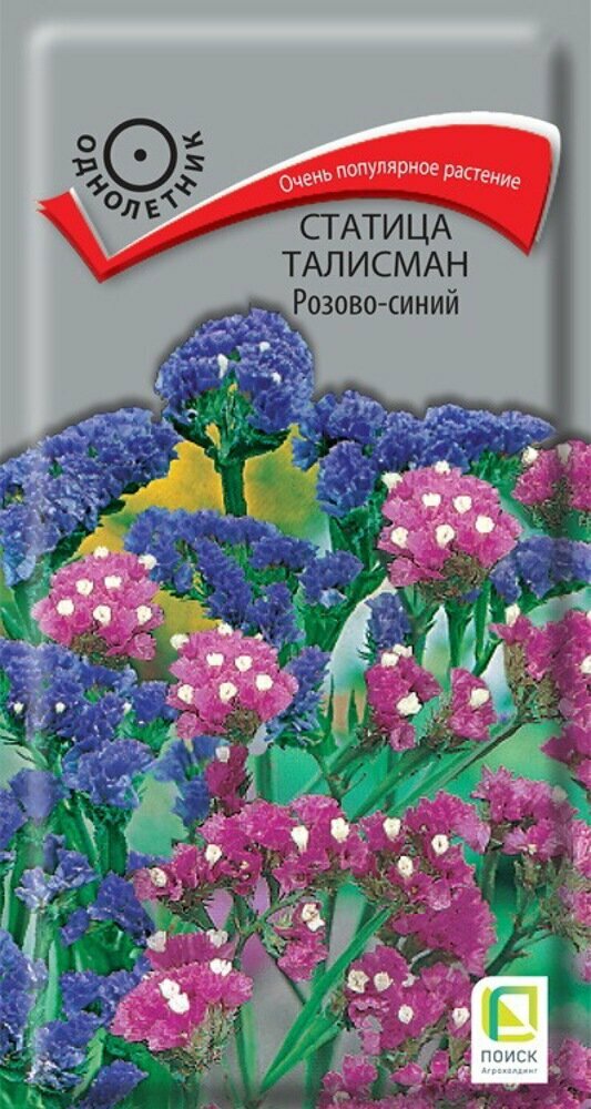 Семена цветов "Поиск": статица Талисман розово-синий, (3 упак.)