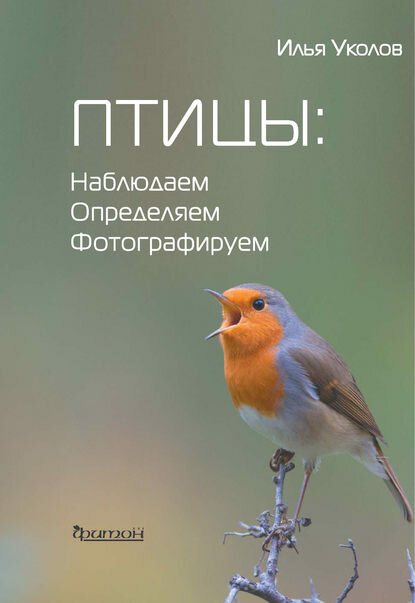 Птицы: наблюдаем, определяем, фотографируем [Цифровая книга]