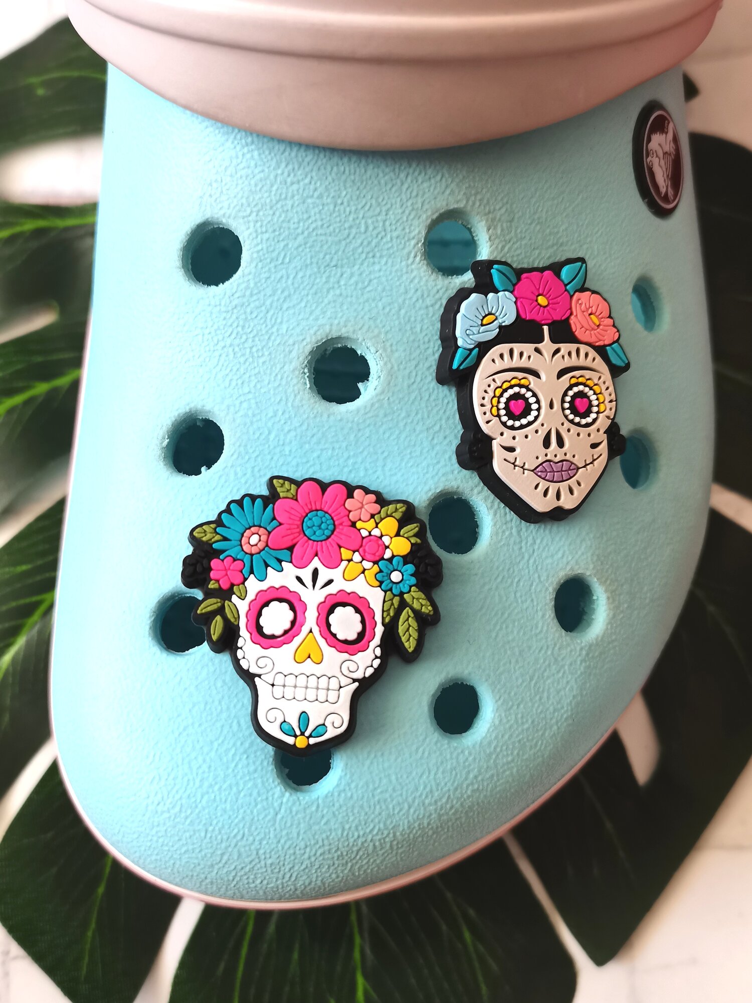 Джибитсы черепа