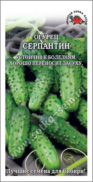 Семена огурца Золотая сотка Алтая "Серпантин" , раннеспелый, для открытого грунта
