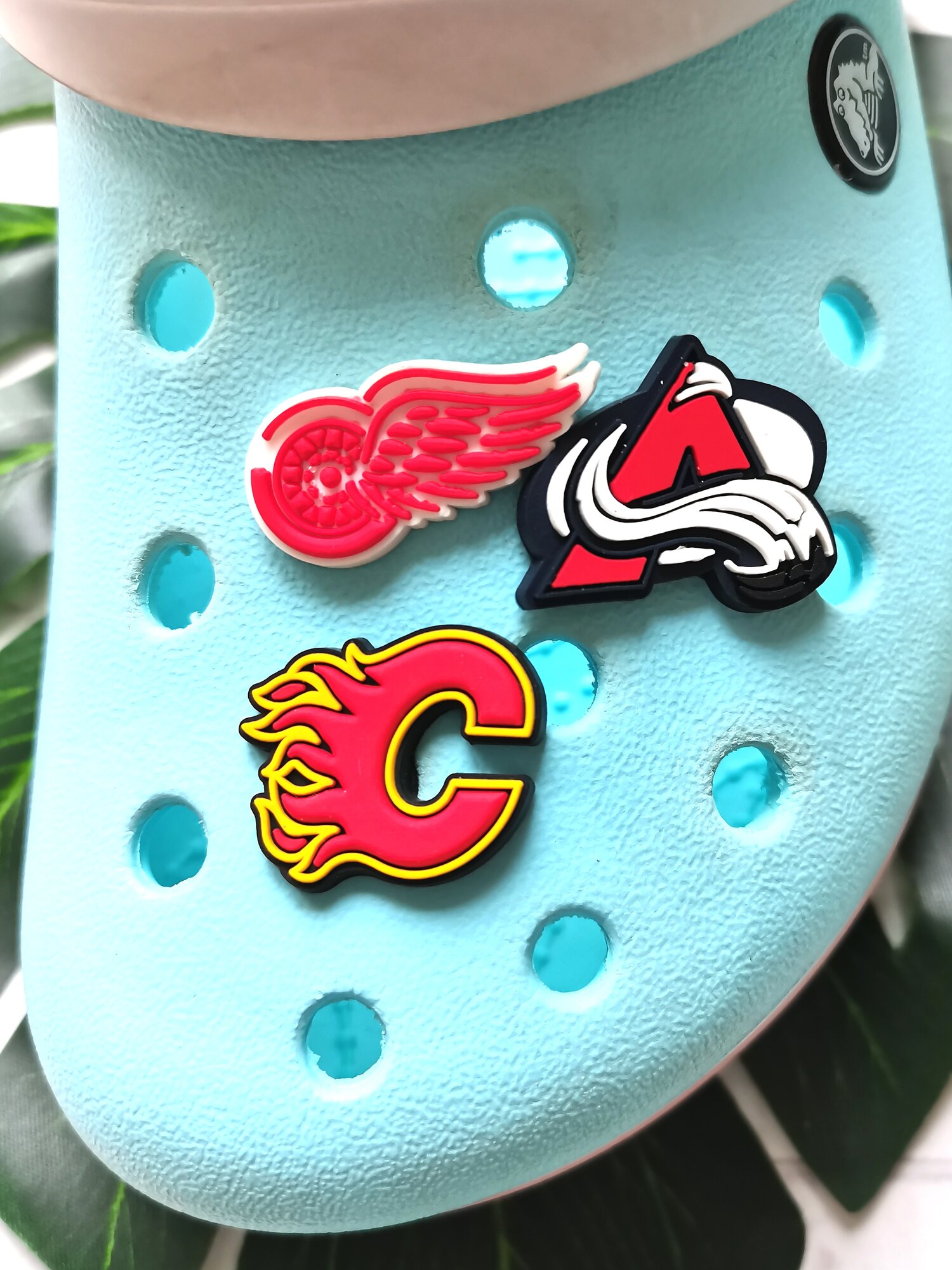 Джибитсы на crocs хоккей Колорадо Эвеланш Флэмз Ред Уингз