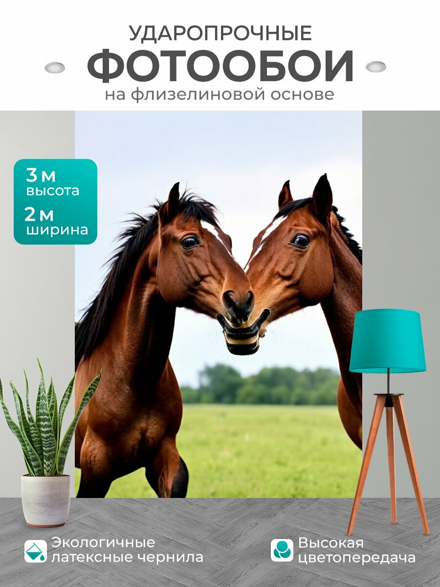 Фотообои моющиеся ударопрочные "Конь, играющий с другим конем, радостная встреча и моменты счастья" 200x300 см. флизелиновые на стену