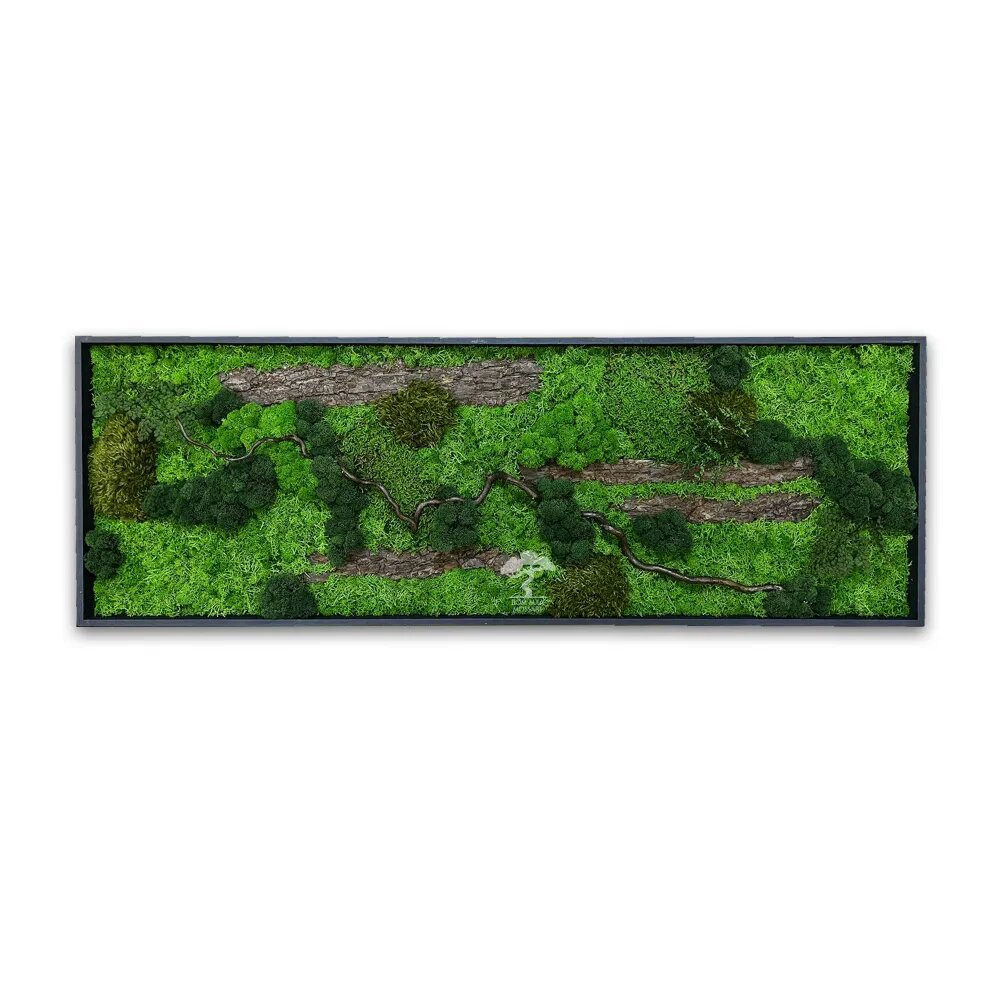 Панно/картина в раме "На опушке" Соло горизонтальная из стабилизированного мха и растений, Графит. 120*40 см.