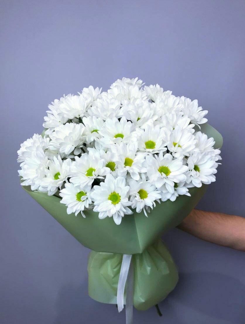 Букет "PROTEA - Студия Цветов", из белых хризантем, на стебле, 7 шт