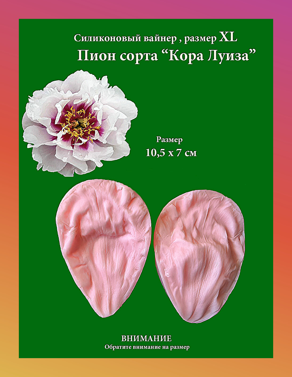 Пион сорта "Кора Луиза" силиконовый вайнер , размер XL