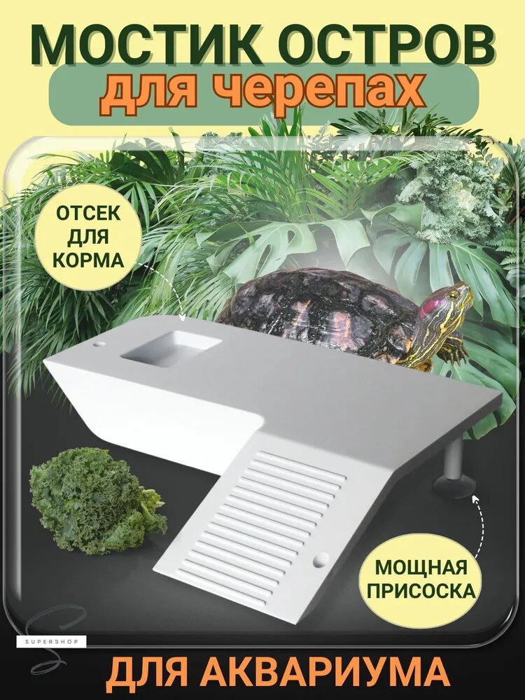 Полка