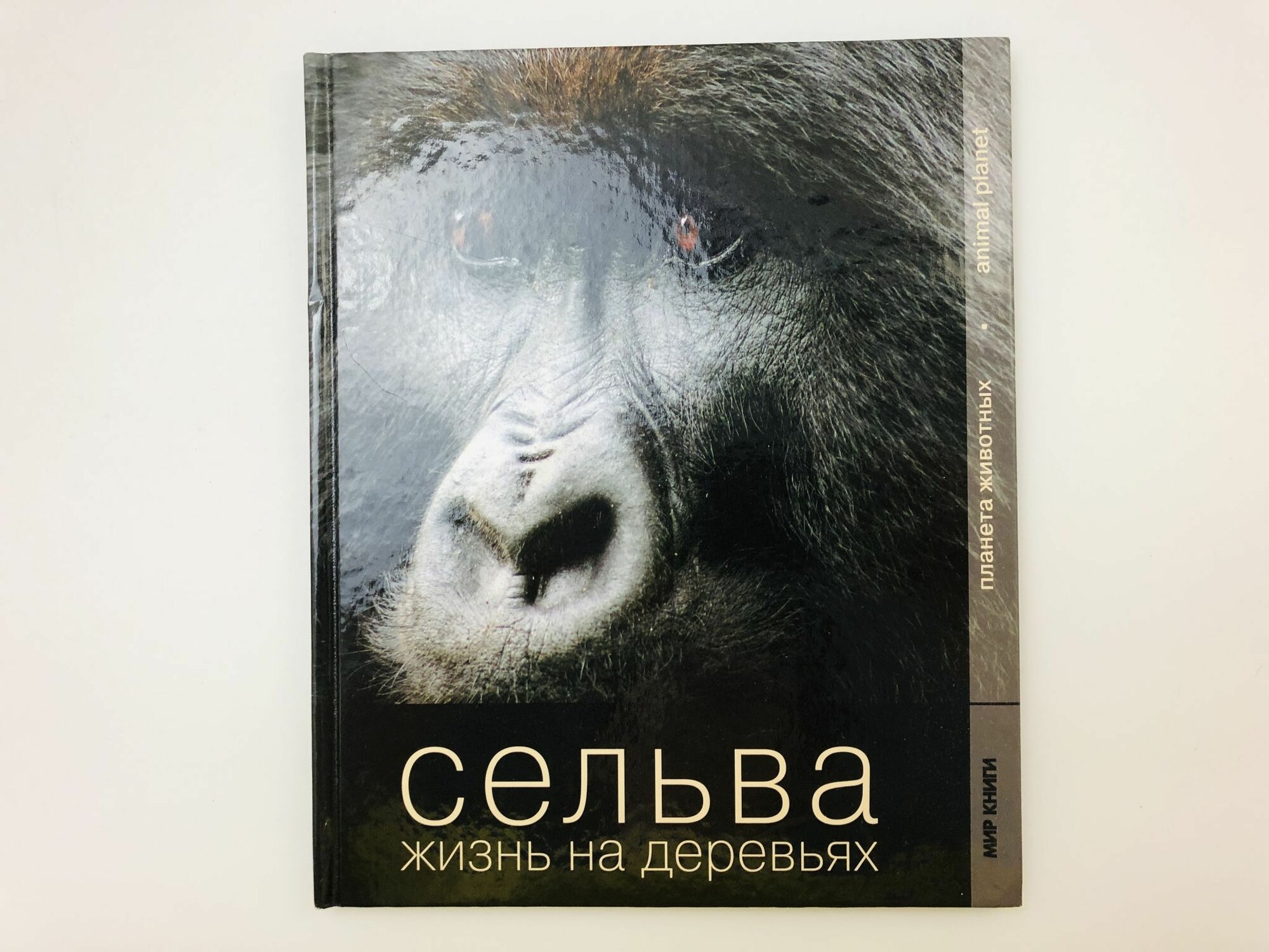 Сельва. Жизнь на деревьях