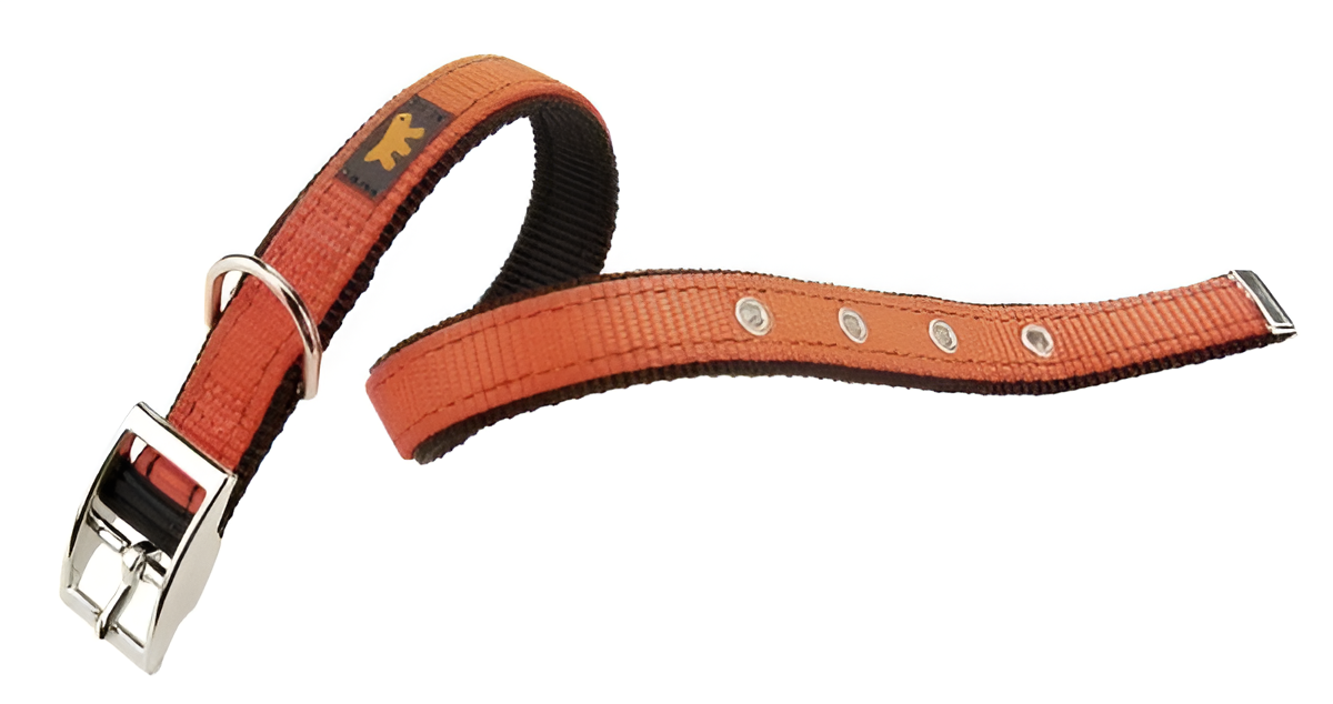Ferplast ошейник нейлоновый Dual CF15/35 Colours 27-35*15 мм, Оранжевый, регулируемый