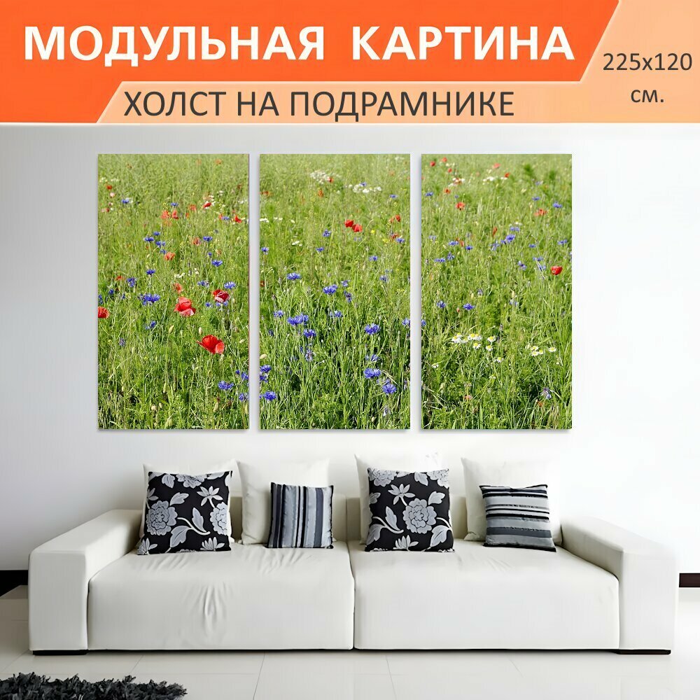 Модульная картина на холсте "Васильки, поле, луг" триптих на подрамнике 225х120 см. для интерьера