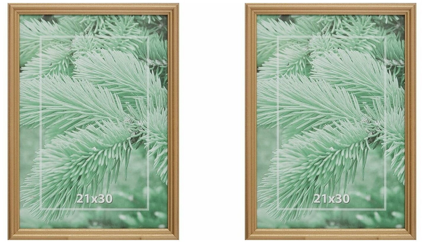 Фоторамка деревянная 21х30см, профиль №1 Золото, 2 шт