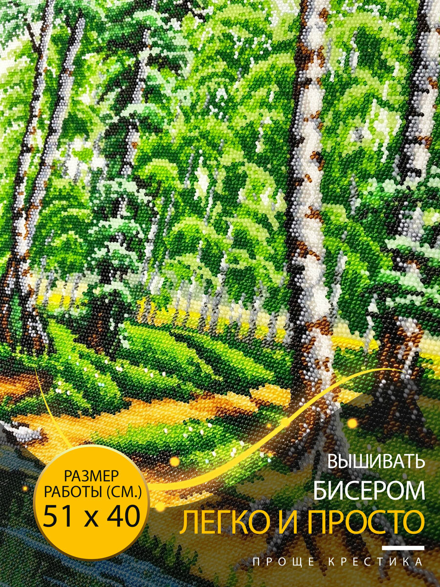 Березовая роща — фото 1