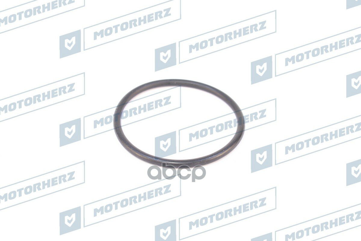 Кольцо рулевой рейки Motorherz арт. HR0479A