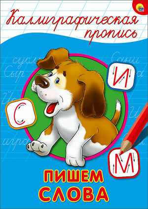 КаллиграфическаяПропись(ПрофПр) А4 Пишем слова