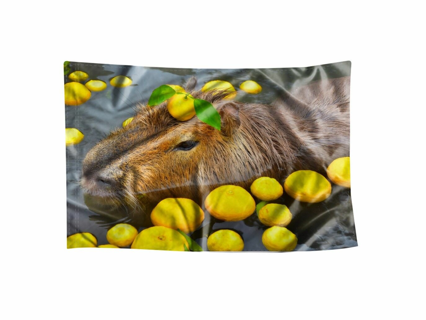 Флаг MIGOM "Capybara v2, Капибара" - v0002