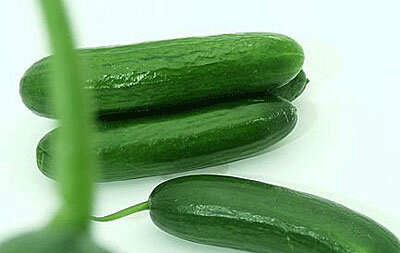 Семена огурцов Сладкая Женщина F1 (0,3 гр.)