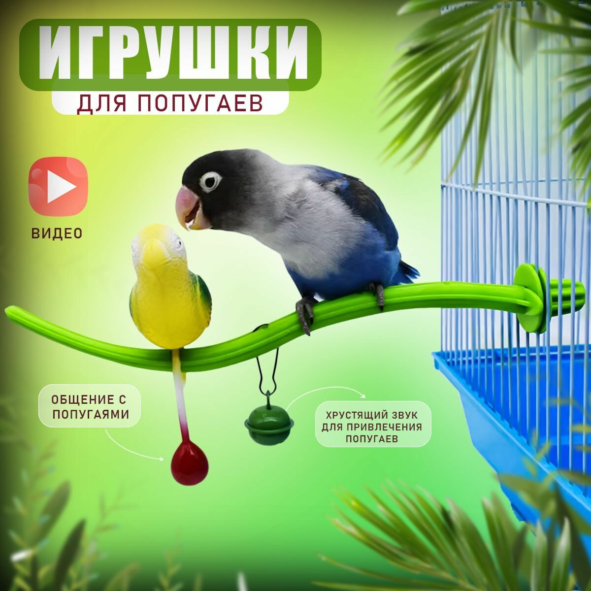 Игрушки для попугаев, жердочки для птиц, птицы-компаньоны, колокольчики