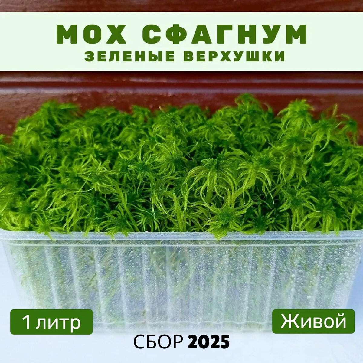 Мох сфагнум свежий лесной без корешков, 1 литр