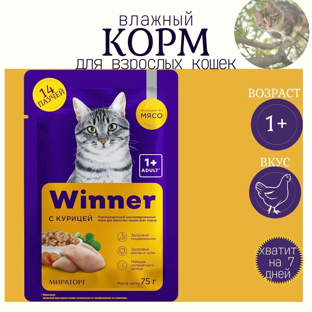 Корм влажный для кошек Winner с курицей в соусе / 14 пакетиков