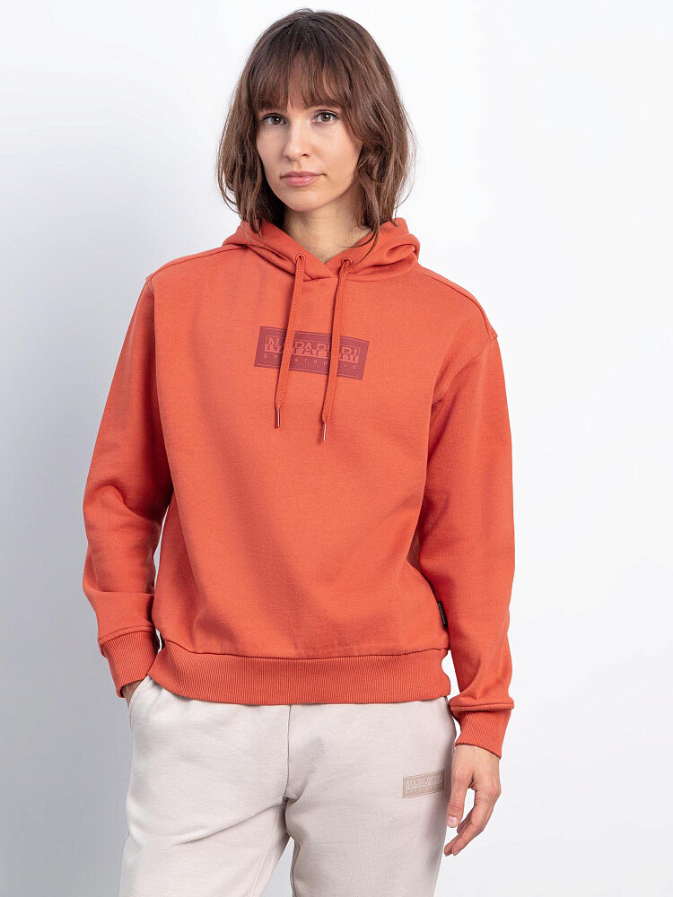 Худи Box Logo Hoodie