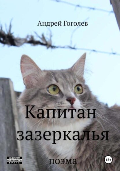 Капитан зазеркалья [Цифровая книга]