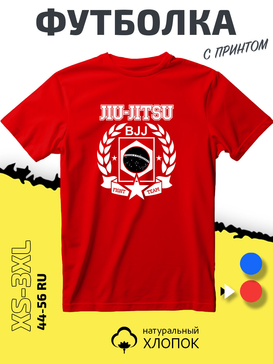 Футболка с принтом надпись jiu jitsu и флаг Бразилии