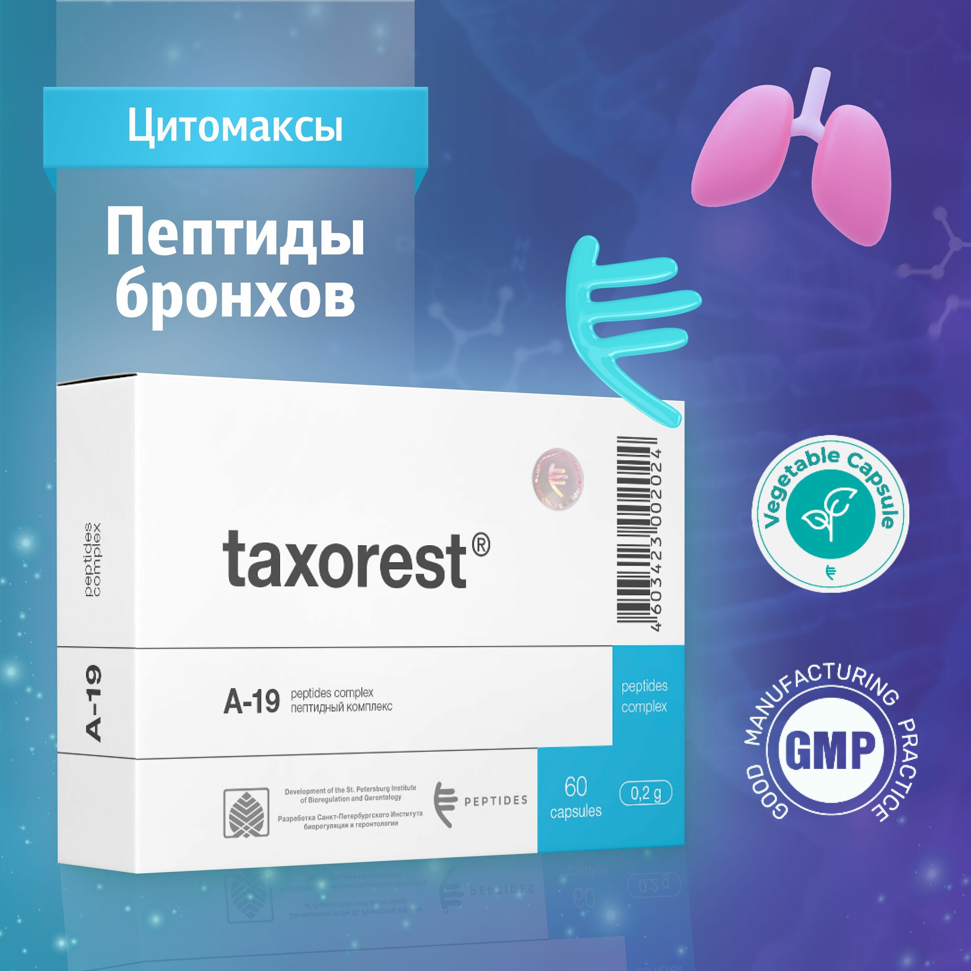 Таксорест N60 - пептидный комплекс для бронхов поддержка дыхательной системы (60 капсул)