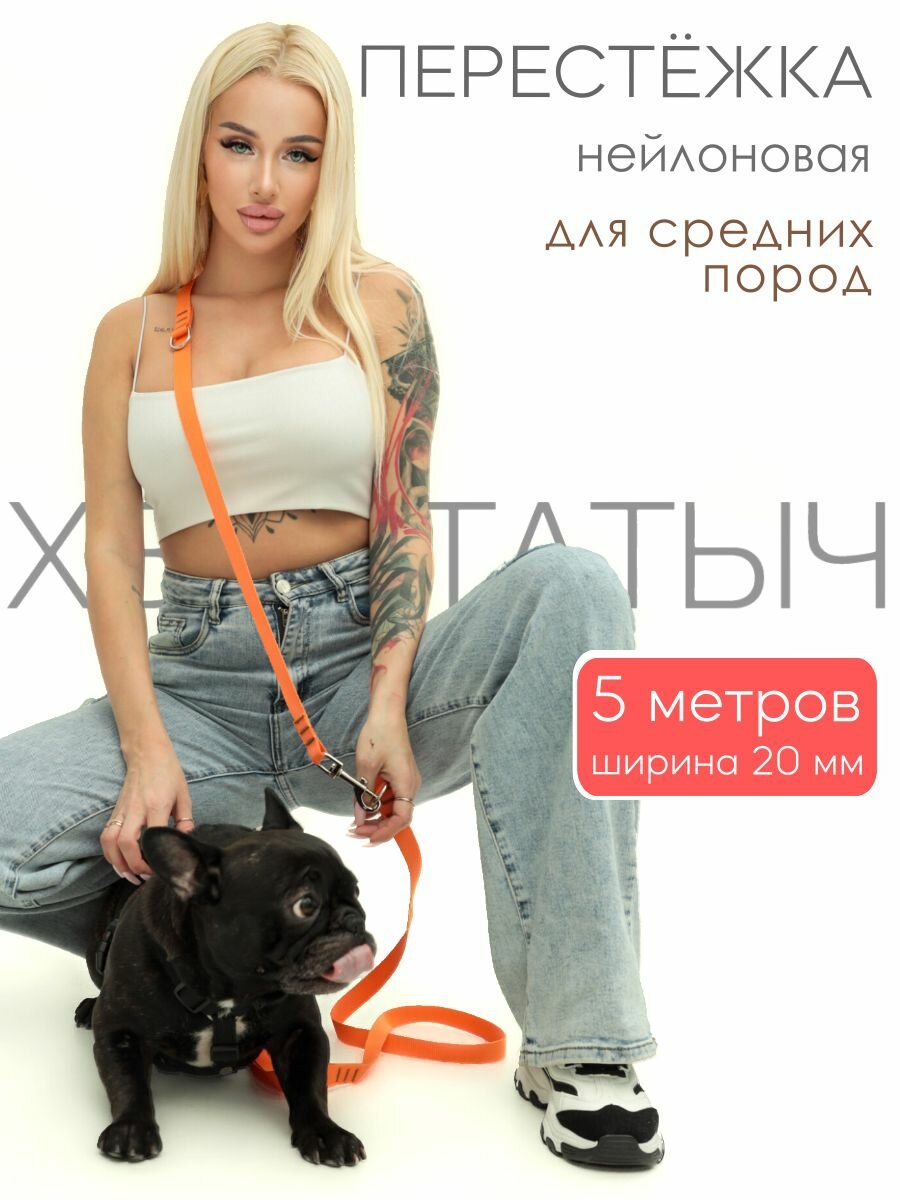 Перестежка Хвостатыч для собак PRO прошитая нейлон 5 м х 20 мм (оранжевый)
