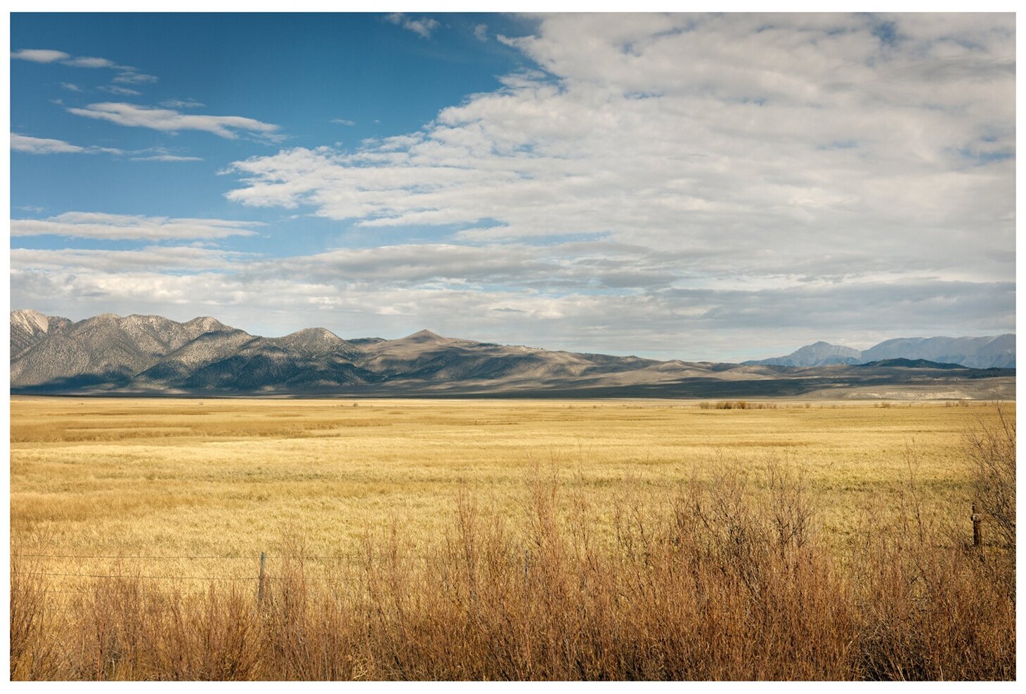 Постер / Плакат / Картина Поле 40х50 см в подарочном тубусе