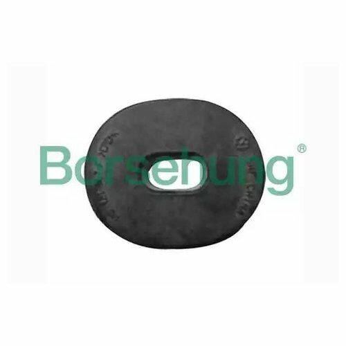 Крепление радиатора Borsehung B11362