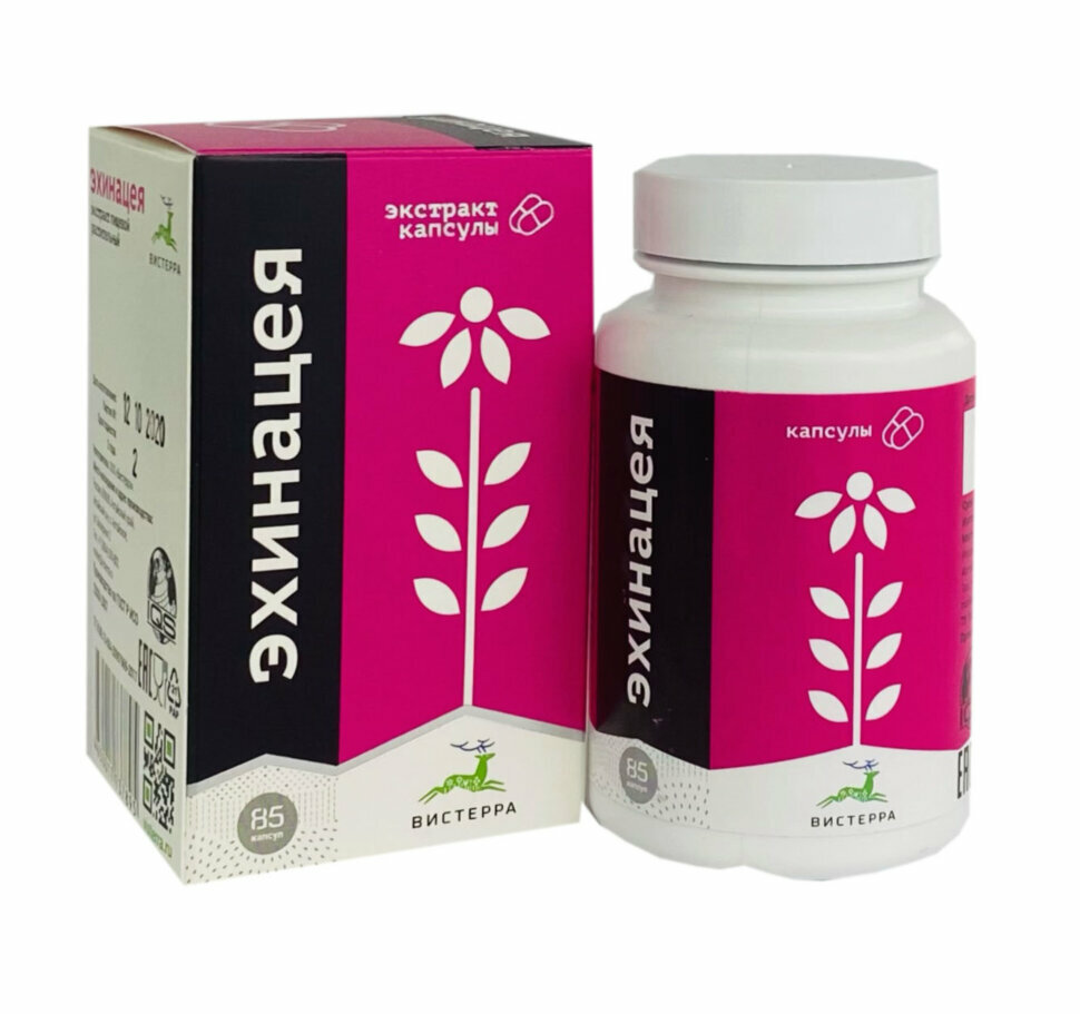 Эхинацея 85 капсул Вистерра