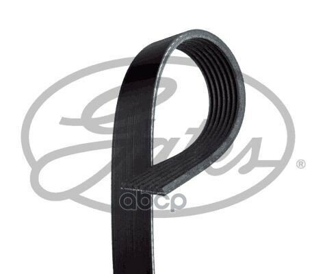 (8653-10889) Ремень ручейковый GATES INFINITY/NISSAN QX/PATROL 10- Gates арт. 7PK2443