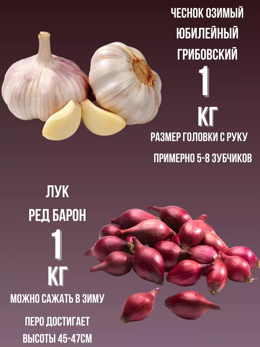 Набор Чеснок Юбилейный Грибовский и Лук Ред Барон 1 кг