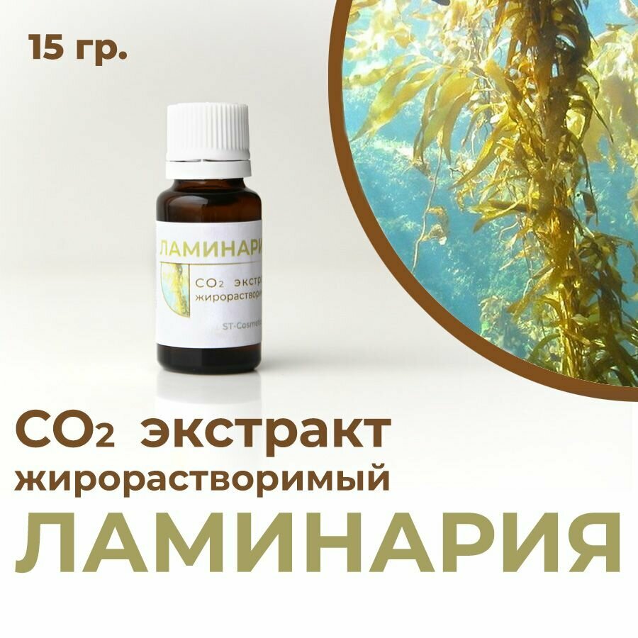 СО2 экстракт ламинарии водоросли, 15 гр.