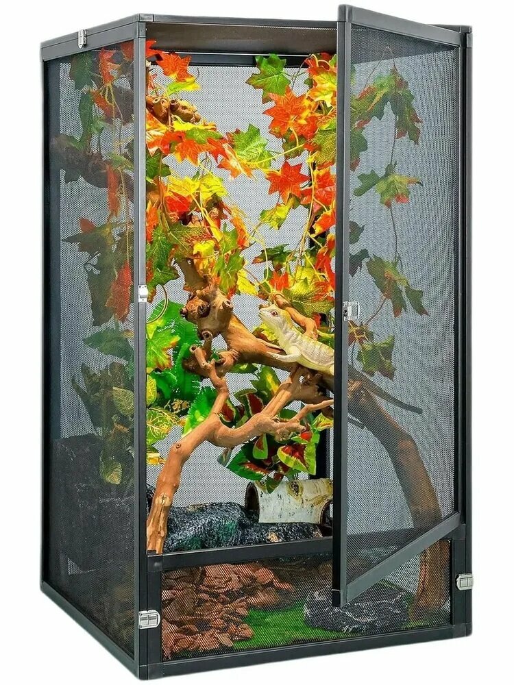 Террариум для рептилий: бананоеды, леопардовые гекконы, хамелеоны, бородатые агамы