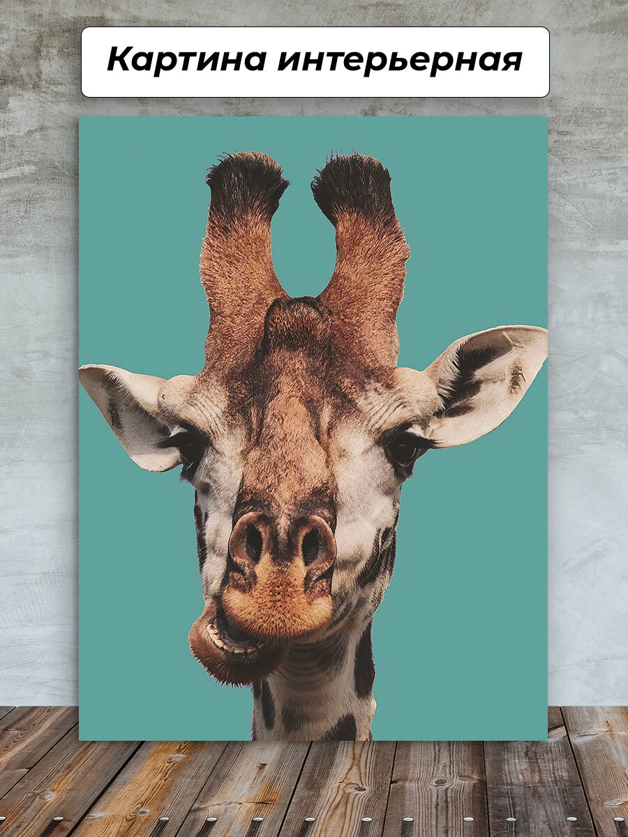 Картина на стену 50х70 Смешной жираф