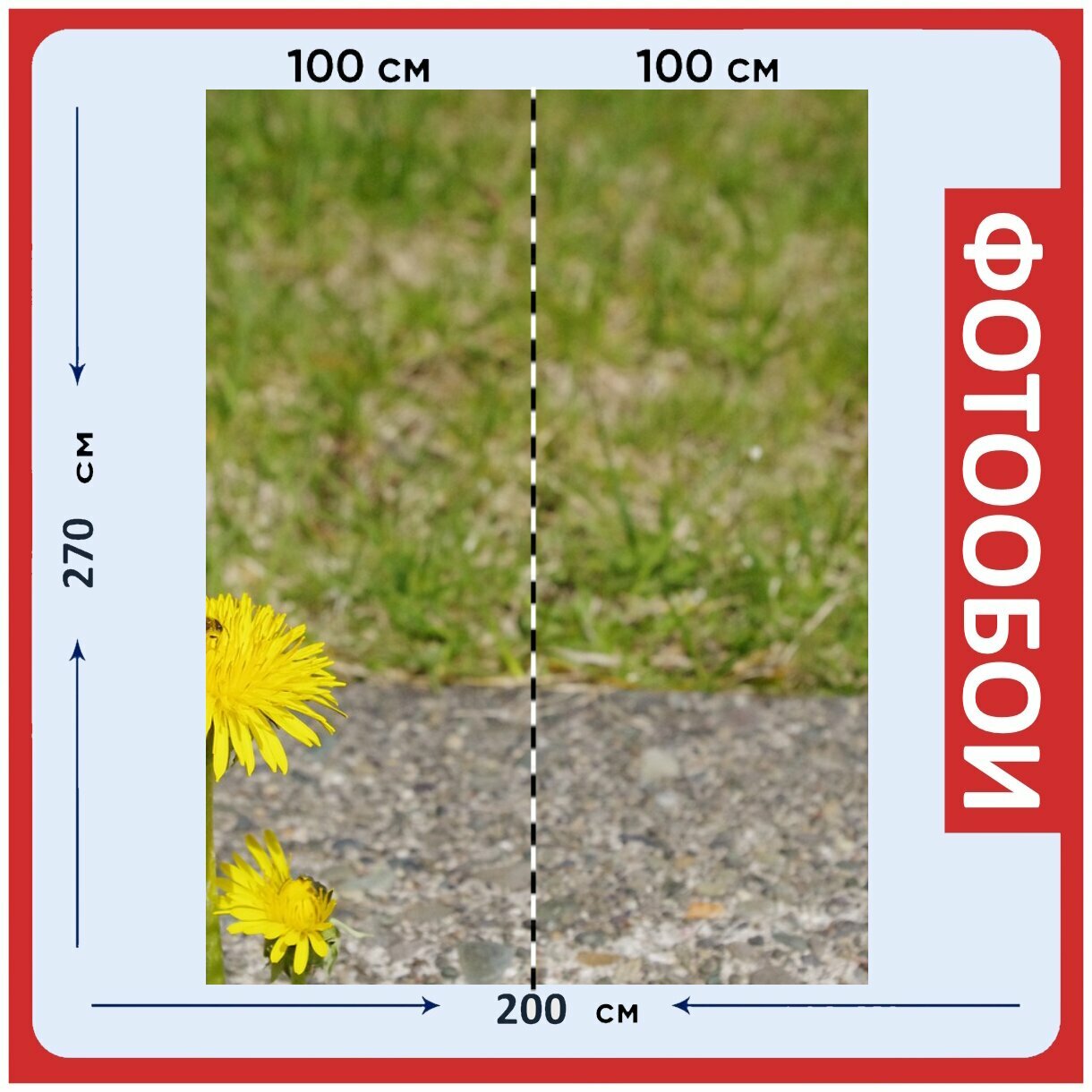 Фотообои "Одуванчик, пчела, весна" 200x270 см. флизелиновыена стену