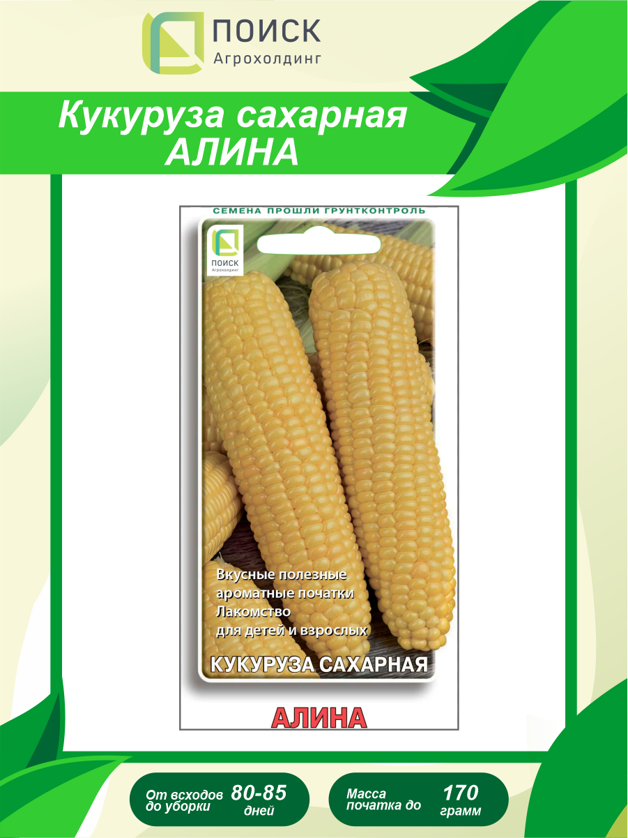 Семена Кукуруза сахарная Алина 5 гр.