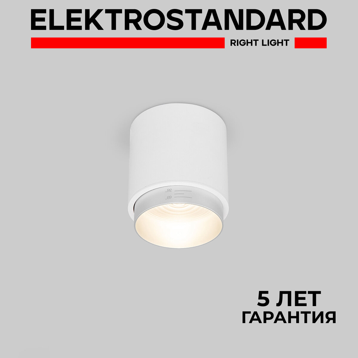 Спот / Потолочный светодиодный светильник Elektrostandard Cors 25032/LED, 10 Вт, 4200 К, цвет белый / серебро