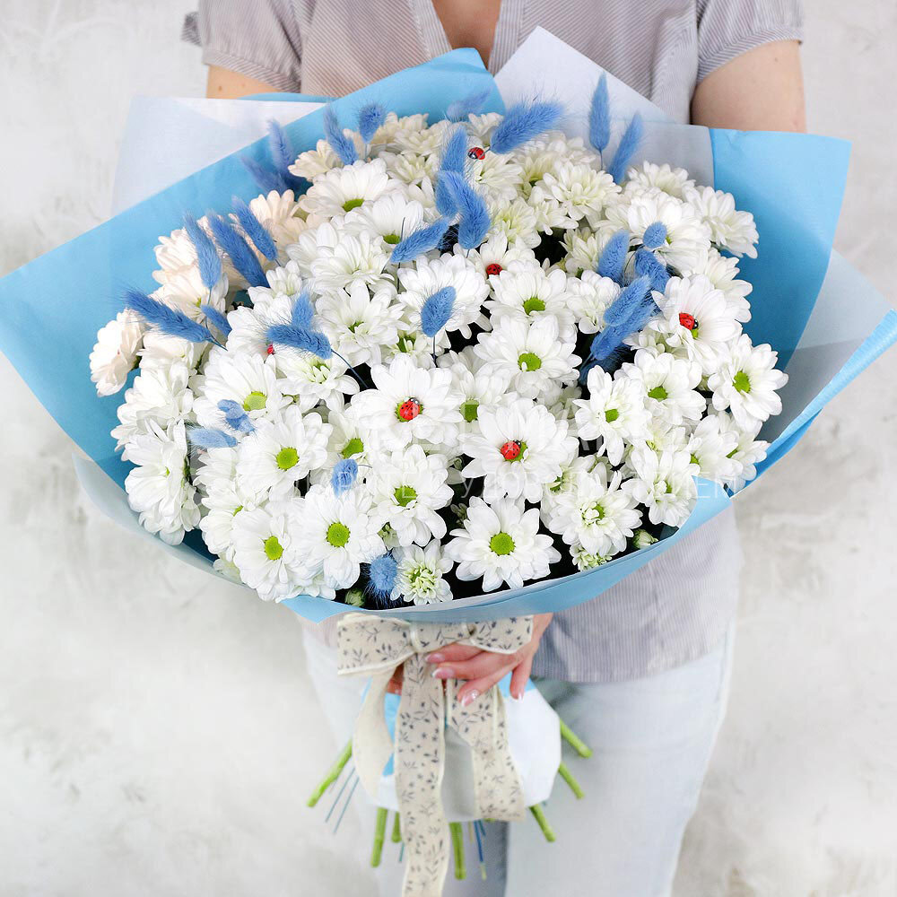 Букет из хризантем с божьими коровками 50см, от Букет Маркет