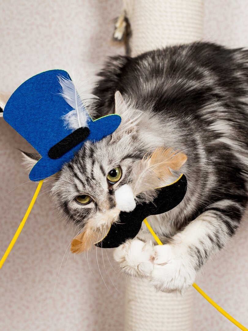 Игрушка для кошек Japan Premium Pet маскарад (для селфи) Джентльмен