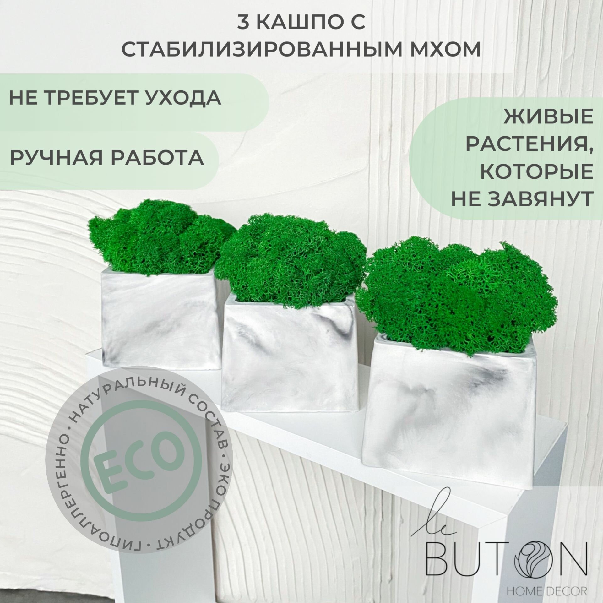 Мох стабилизированный в квадратном кашпо черного цвета, 3 штуки для декора дома